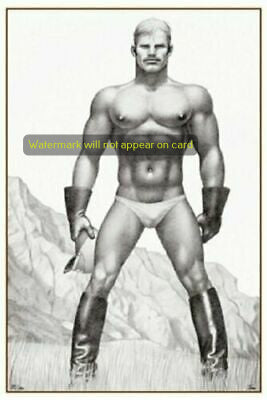 POSTCARD / Tom of Finland / Highway Patrol Cop in underwear – Zeus Gay Boutik