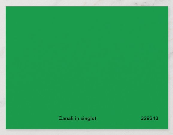 POSTCARD / Giorgio Canali / Ricco Rizzoli in singlet – Zeus Gay Boutik