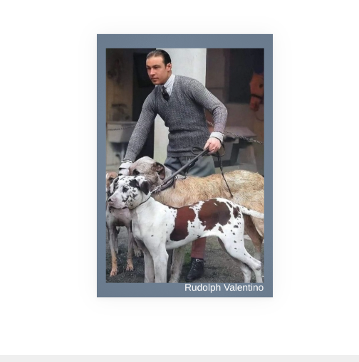 POSTCARD / Rudolph Valentino + dogs, 1924 – Zeus Gay Boutik